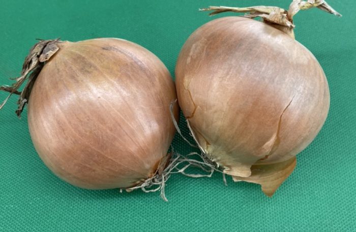 Warner Meats Butchers | Brown Onion