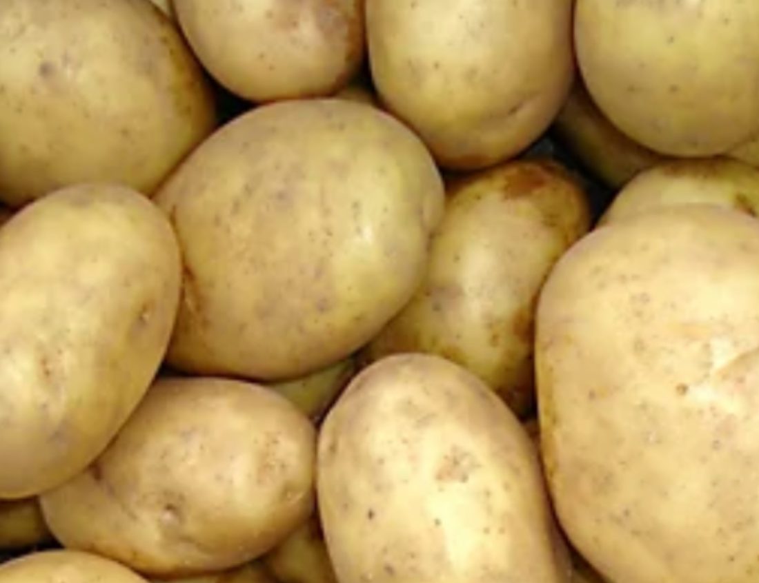 Warner Meats Butchers | Maris Piper Potatoes