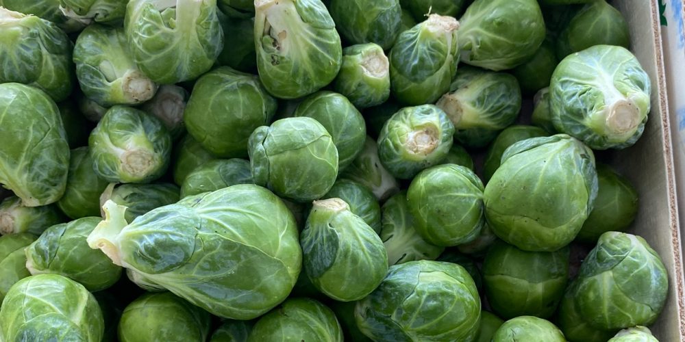 Warner Meats Butchers | Brussels sprouts